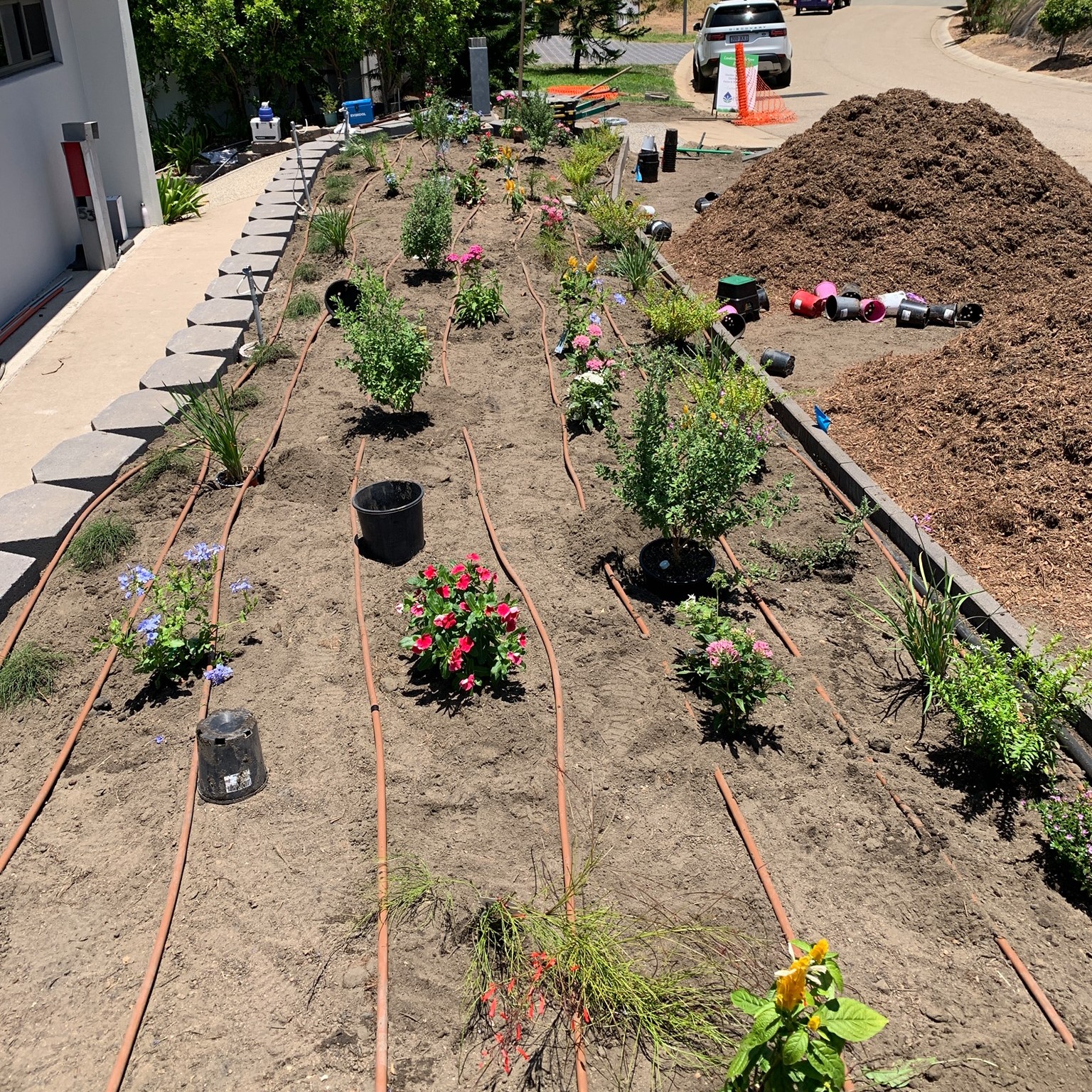 irrigation-lines - plantem.com.au